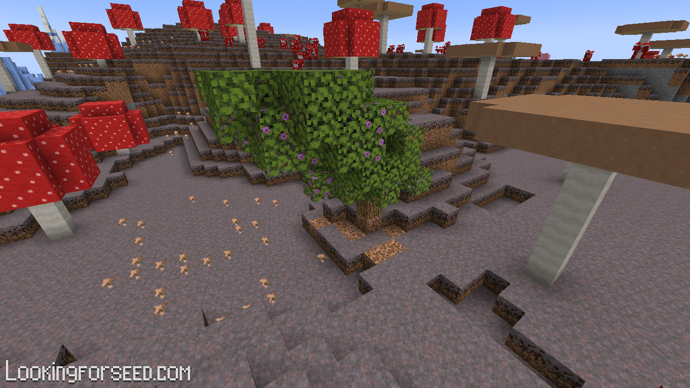 2 Mushroom Islands, Village, 3 Shiwprecks, and More