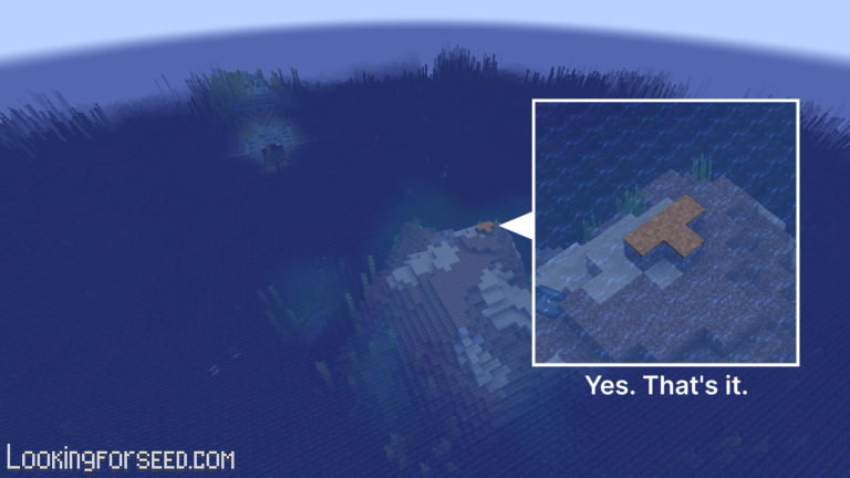 Igloo Seeds for Minecraft Java Edition | Lookingforseed.com